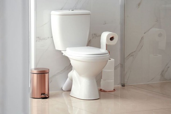 Panduan Memilih Toilet yang Tepat untuk Kebutuhan Keluarga - News ...